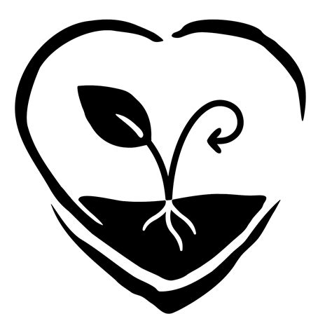 Regenerative Cotton Standard