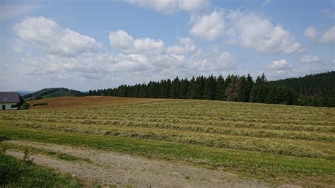 Sonne Wind Und Dürre Im Sauerland