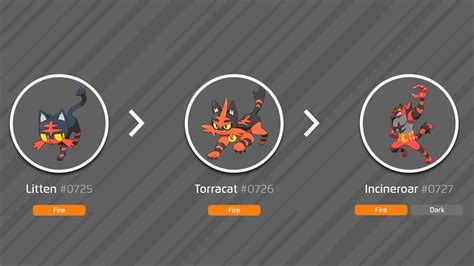 Can You Catch A Shiny Litten In Pokémon Go Gamepur