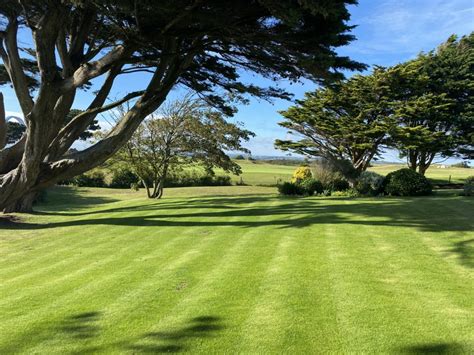 Tree Condition Survey S P Landscapes