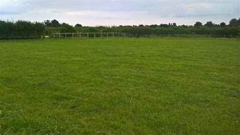 Grass And Paddock Care