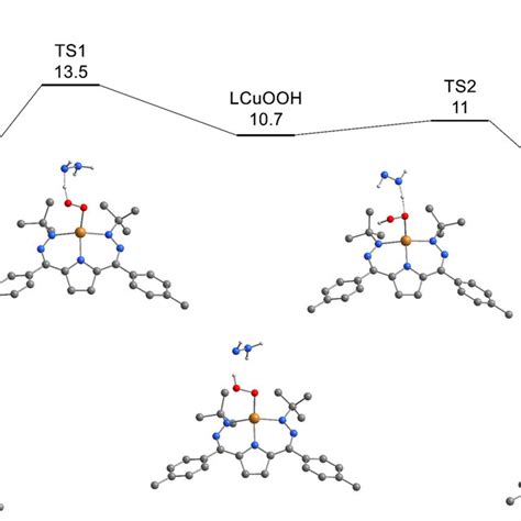 Dft Computed Geometries And Energies Of Hydrazine Dehydrogenation By 3
