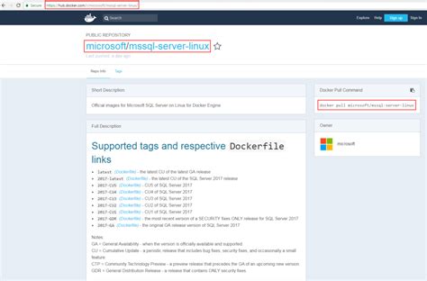 Docker And SQL Server On Linux Coding Sight