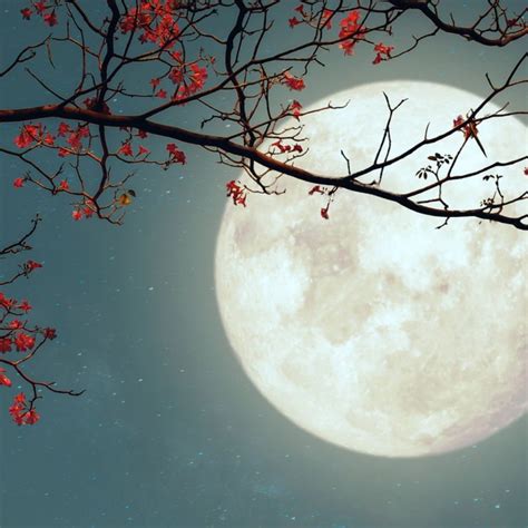 Astrominibr Uma Mini Lua Cheia Tecmundo