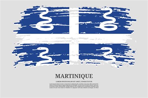 브러쉬 스트로크 효과와 정보 텍스트 포스터 벡터와 마르티니크 플래그 0명에 대한 스톡 벡터 아트 및 기타 이미지 0명