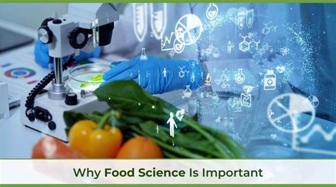What Is Food Science And Why Is Food Science Important