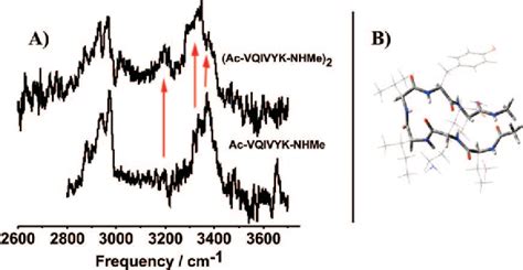 Figure 1 From Observation Of Beta Sheet Aggregation In A Gas Phase Tau Peptide Dimer Semantic