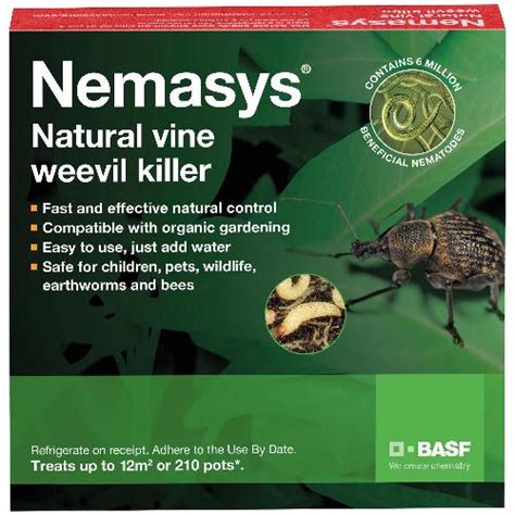 Vine Weevil Control Nematodes Uk