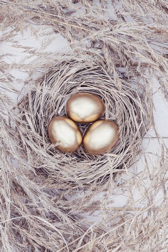 건초 둥지에있는 황금 달걀 부활절 배경 흰색 나무 테이블에 머리 위 전망 밀짚에 대한 스톡 사진 및 기타 이미지 밀짚 흰색