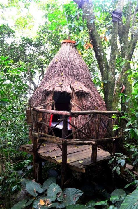 Descansa Como Un Pájaro En El Hotel Tapasoli Xilitla