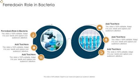 Ferredoxin Role In Bacteria Powerpoint Presentation And Slides Ppt
