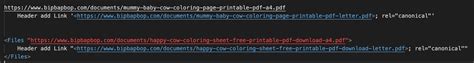 canonical tags in header for pdfs non html files support netlify