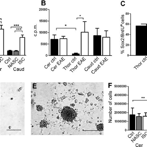 Npcs Differentiation Is Affected In Npcs Isolated From Nasc Control