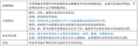一文读懂 6 种类型细胞坏死的病理变化 死亡 丁香医 程序