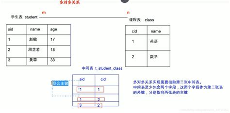 在mysql中建立多对多关系的映射（建立中间表） csdn博客