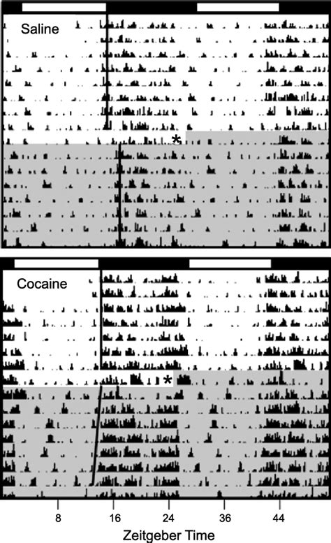 Representative Double Plotted Actograms Of General Locomotor Activity
