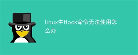 What Should I Do If The Flock Command Cannot Be Used In Linux Linux