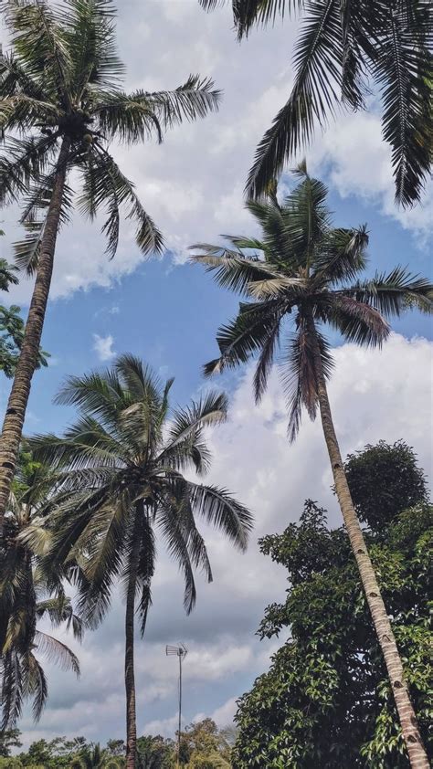 Pin By Anggee Dejesus On Scenery In Fotografi Alam Gambar Alam Fotografi Langit Sky