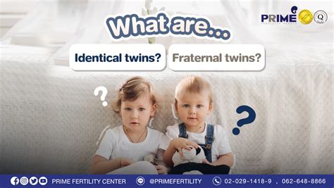 What Are Identical Twins Or Fraternal Twins Icsi Bangkok
