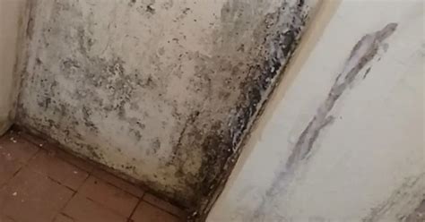 찌든때도 심하고 문제가 심각했는데 잘 도와주시고 친절하게 상담해주셨습니다 너무 감사해요ㅠㅠ 숨고 숨은고수