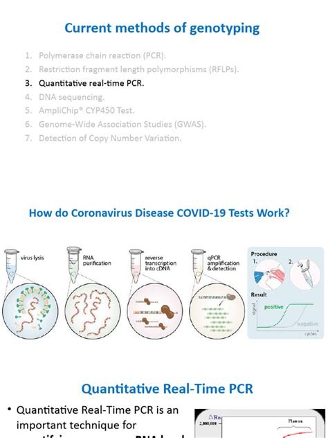 2 Analytical Methods To Identify Genetic Variations Pdf Real Time Polymerase Chain Reaction
