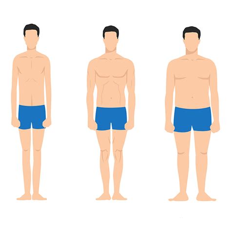 Train For Your Body Type Endomorph Mesomorph And Ectomorph
