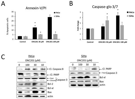 Onc201 Dordaviprone Induces Integrated Stress Response And Death In