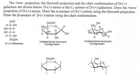 Solved The Fischer Projection The Haworth Projection And Chegg Com