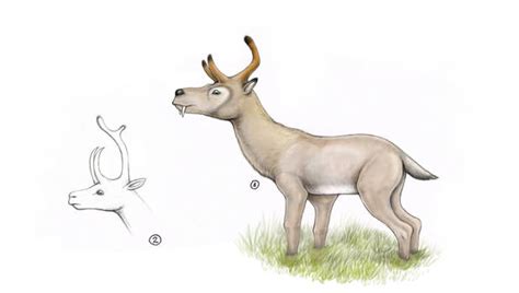 Explore The Best Chevrotain Art Deviantart