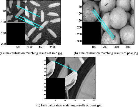 Fine Calibration Matching Results Of Test Image Download Scientific Diagram