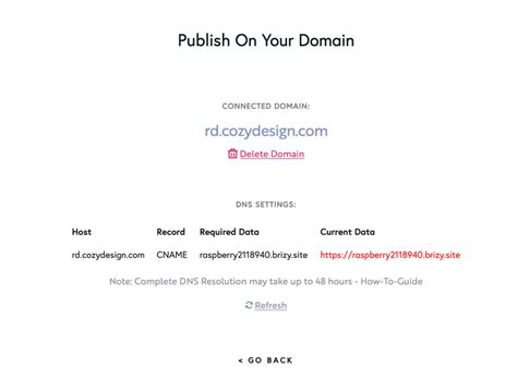 setting up custom domain brizy help center