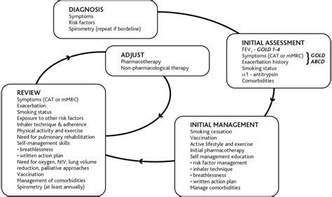 Management Of Copd Notes Reproduced With Permission From Global