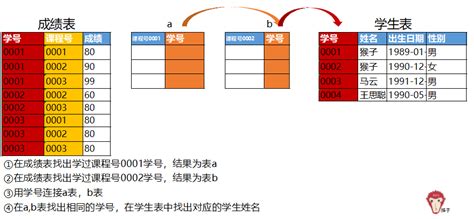 图解sql面试题：经典50题 知乎