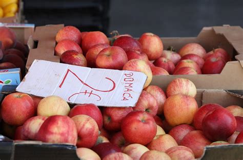 “dunav Info” 16 1 2025 11 00h Radio Dunav 101 5 Fm Vukovar