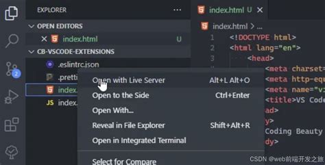 用于 web 开发的 10 个必备 vs code 扩展 vscode扩展 csdn博客