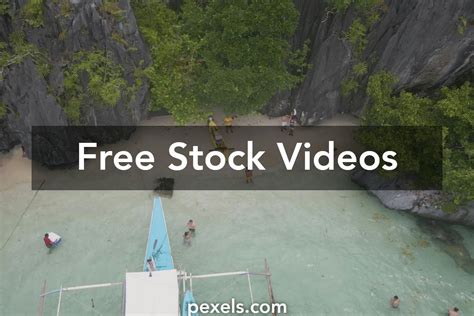 Belledelphineintheforest Videos Download The Best Free 4k Stock