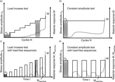 Schematic Representation Of The Experimental Procedures A Load Download Scientific Diagram