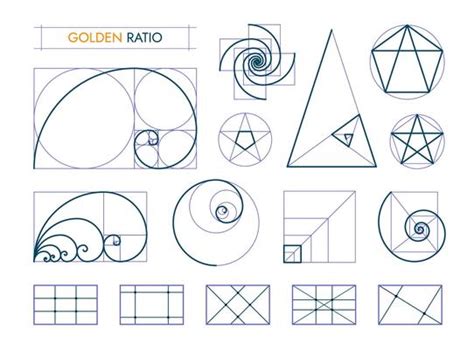golden rectangle ratio vector art icons and graphics for free download