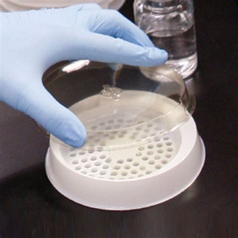 Simplate For Hpc Articbrew