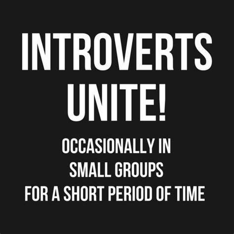 Pin By Elina No On Word Friendship Quotes Introvert Introvert Humor