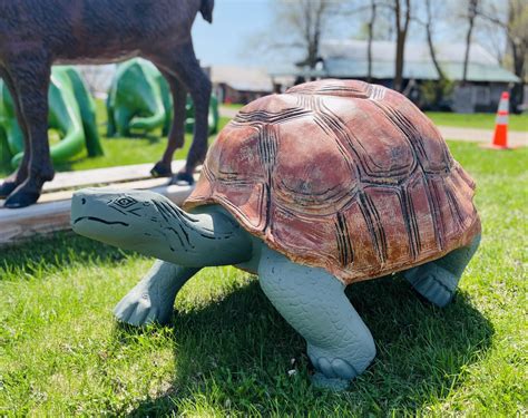 Turtle Jumbo