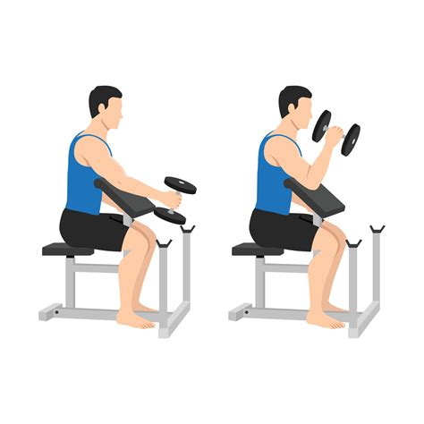 Man Doing Seated Dumbbell Preacher Bicep Hammer Curls Exercise 31131930 Vector Art At Vecteezy