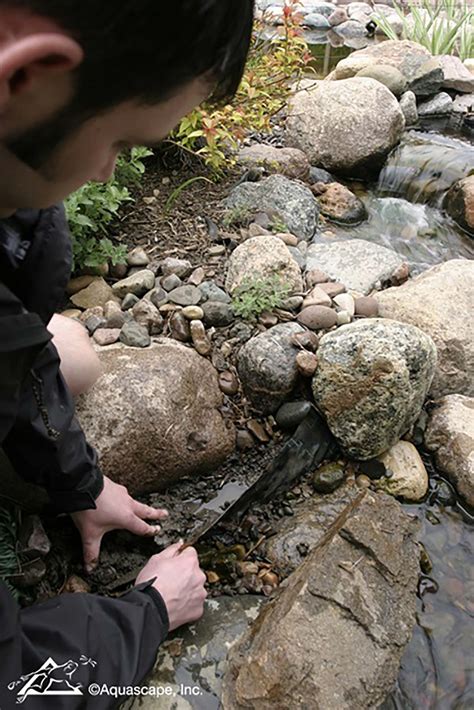 A User Friendly Guide To Fixing Pond Leaks Nature Build Landscaping