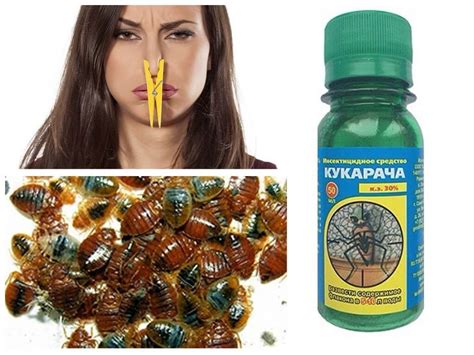 Средство Кукарача от клопов: отзывы, цена и инструкция по применению