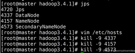 Hadoop最新版本hadoop 3 4 1搭建伪分布式集群以及相关报错解决 Hadoop3 4 1 Csdn博客