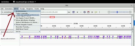 Basecalling Sequence Alignment And Pycoqc · Detection Of Dna Base