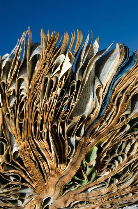 Stranger Things Sky Photos Download The Best Free Stranger Things Sky