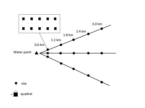 Arrangement Of Sites And Quadrats Download Scientific Diagram