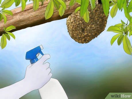 3 Ways To Get Rid Of Killer Bees WikiHow