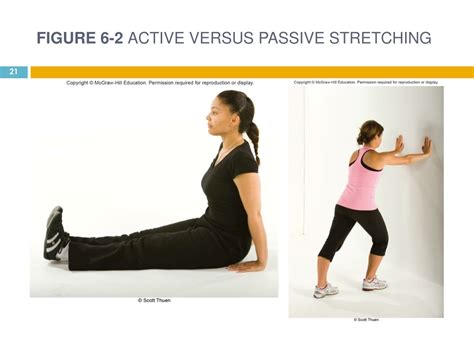 Ppt Chapter 6 Flexibility And Low Back Fitness Powerpoint
